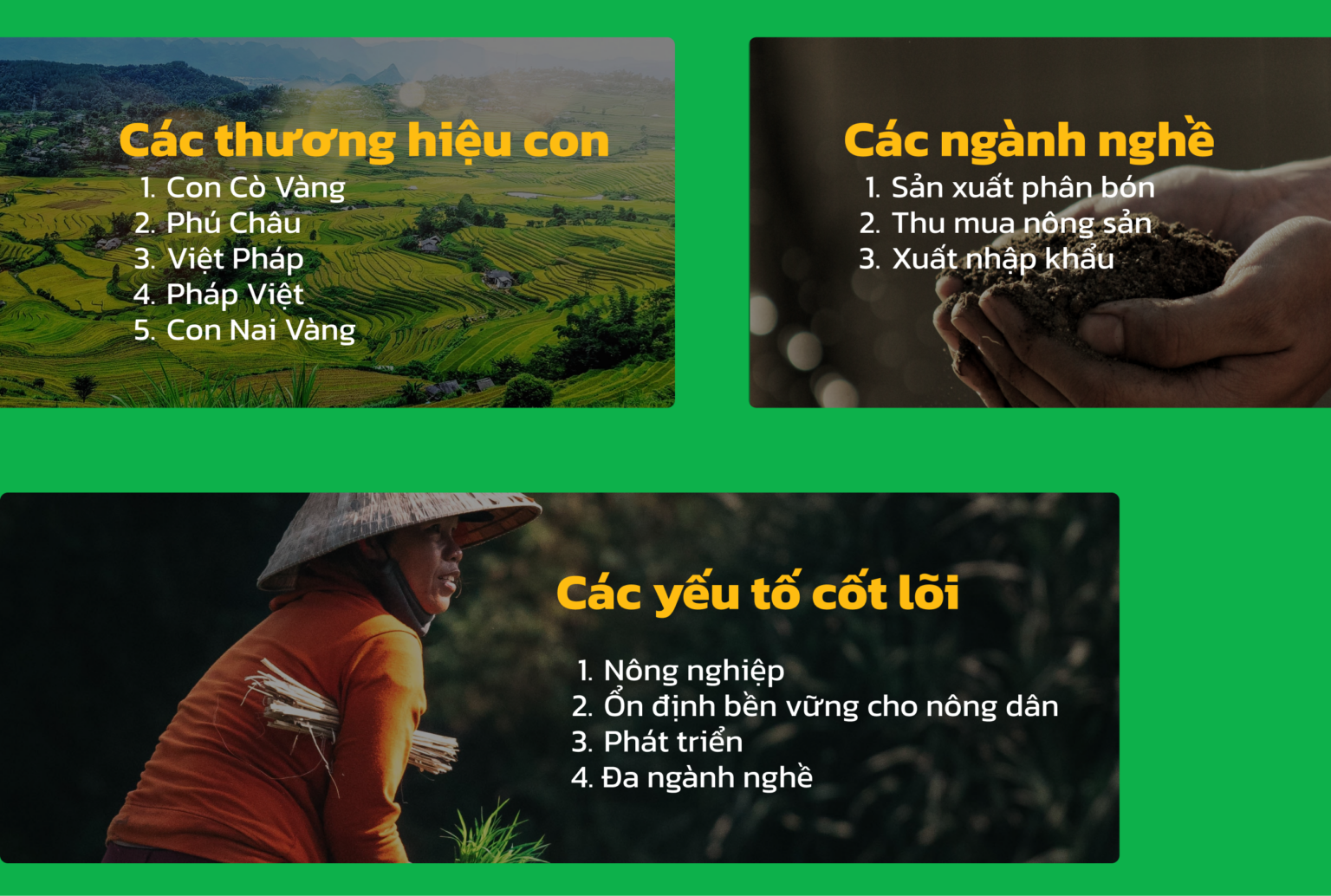 CCV Group - Rebranding Project - Telos