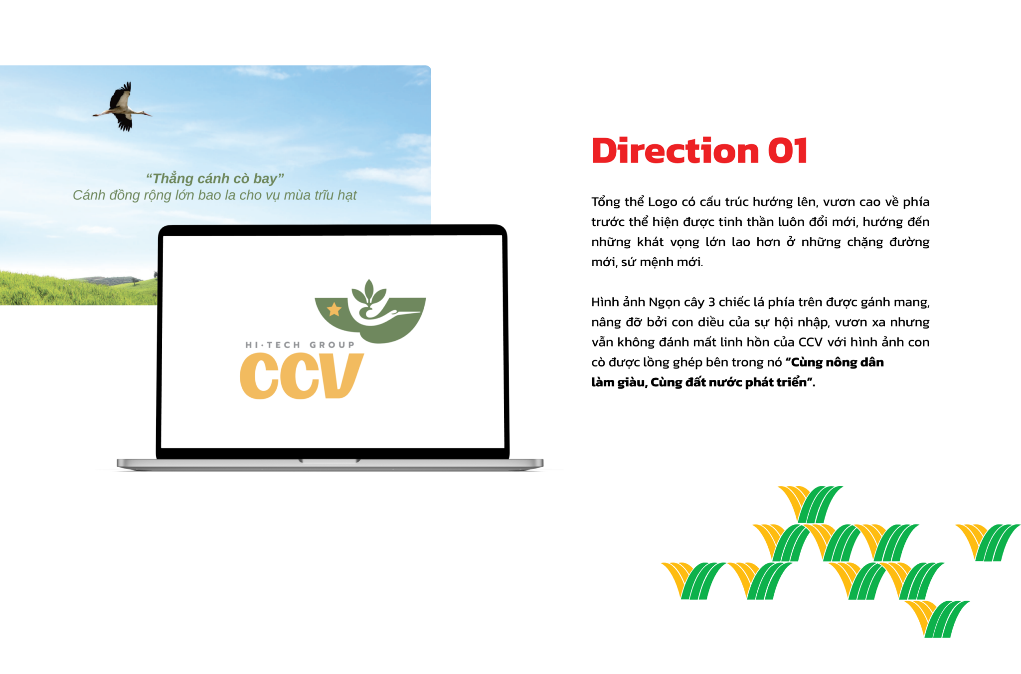 CCV Group - Rebranding Project - Telos