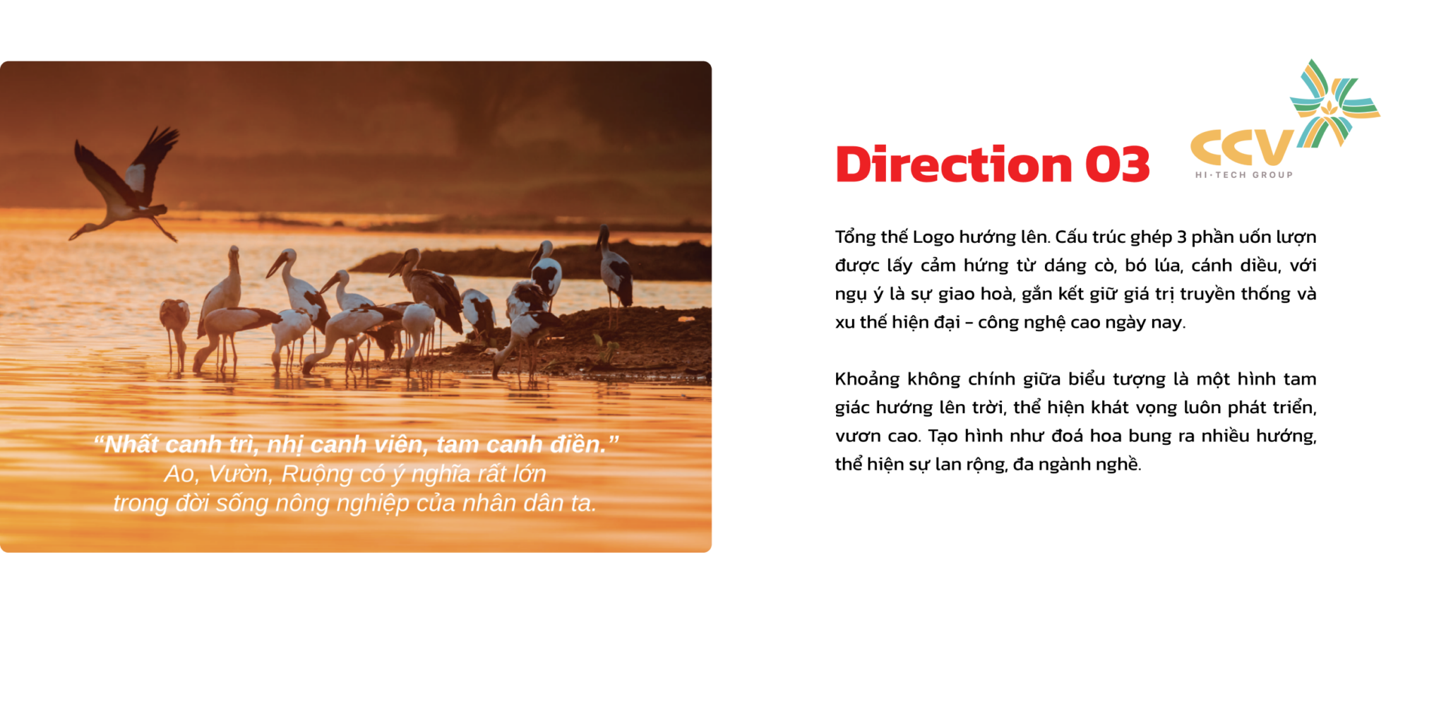 CCV Group - Rebranding Project - Telos